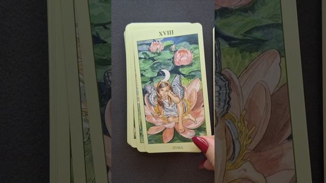 Прекрасное Таро цветов, Италия Ло Скарабео 2015