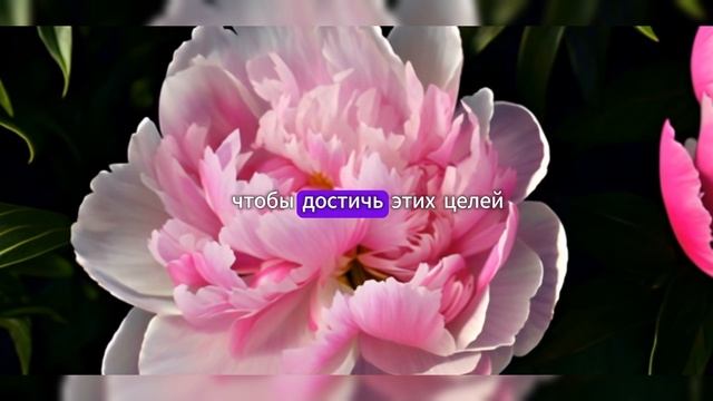 Найти себя. Обрети душевный покой. Мотивация.