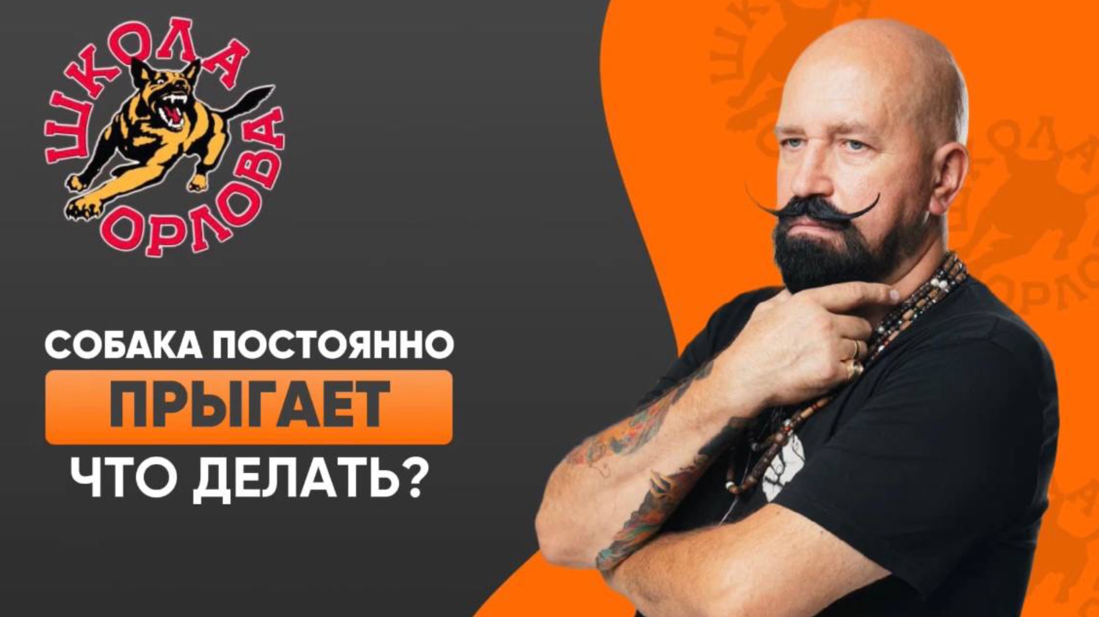 Что делать, если собака все время скачет от перевозбуждения?