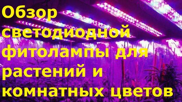 Обзор светодиодной фитолампы для растений и комнатных цветов