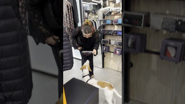 Будьте добры ко всем видам