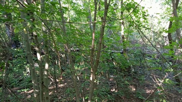 На сапе по Битюгу