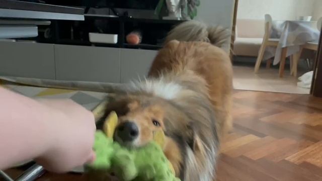 Хуру, 11 месяцев