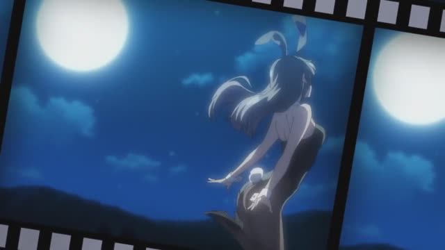 Ты моя целая вселенная [AMV Этот глупый свин не понимает мечту девочки зайки].