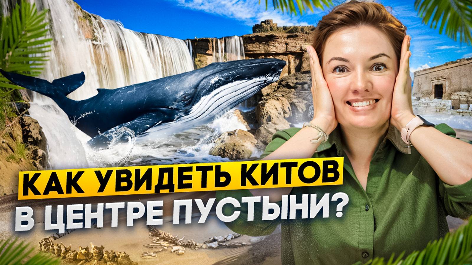 Как увидеть китов в центре пустыни?