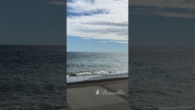 Море, море, море...