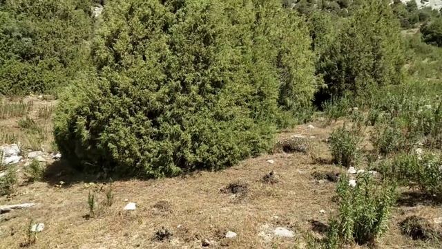 Перевал Чукурак до озера Куликалон
