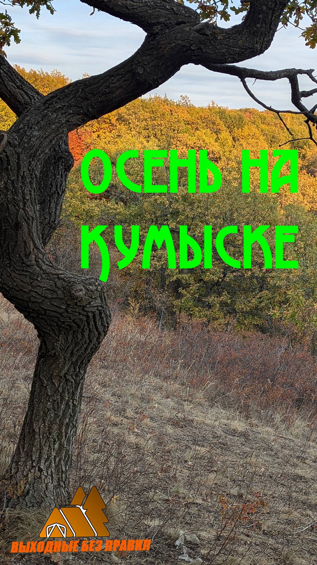 Осенняя прогулка на Кумысной поляне Саратова