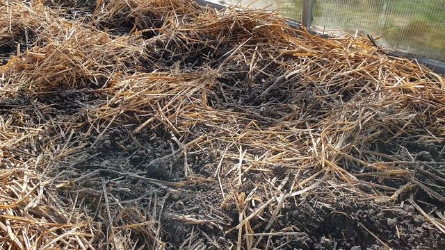 Гнездовой способ подготовки грядок к следующему сезону. В такой почве ВСЁ растёт.