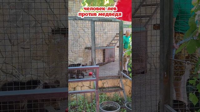 Тайган - Олег Зубков и медвежонок Лейла.