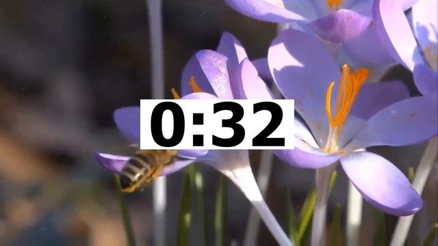 ILLNESSES AND THEIR TREATMENT