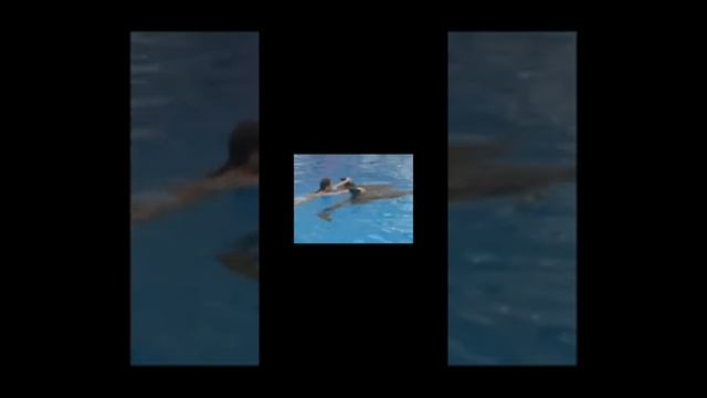 Плаваю с дельфинами