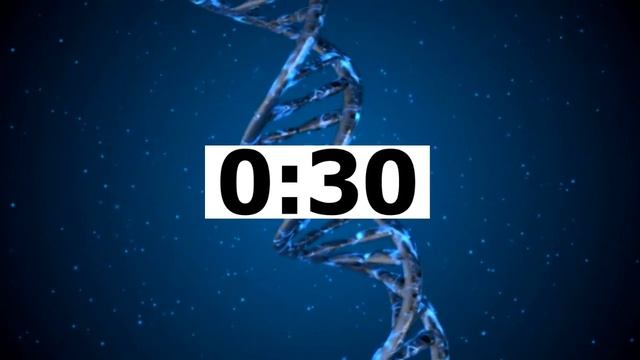 The Internet ((Langart)