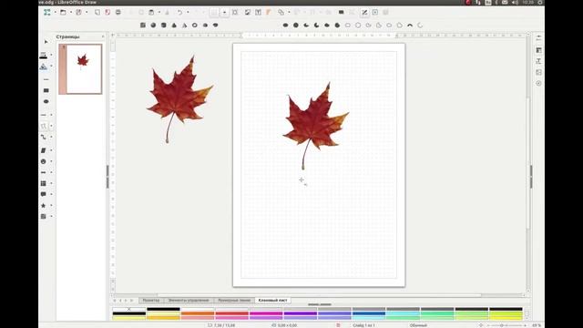 Создание векторного рисунка клёнового листочка
