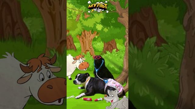 Добрый доктор айболит 🌡️ #спаниель #стаффбуль #мультик #айболит #доктор #смешное #собака #животные