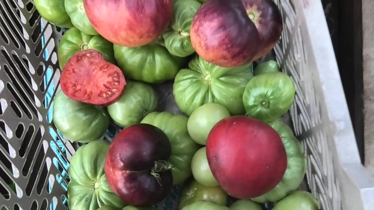 30 09-3 10 24г убираем урожай