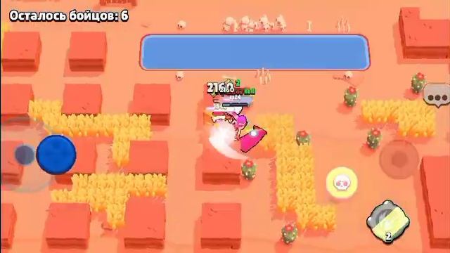 катка на Мортисе