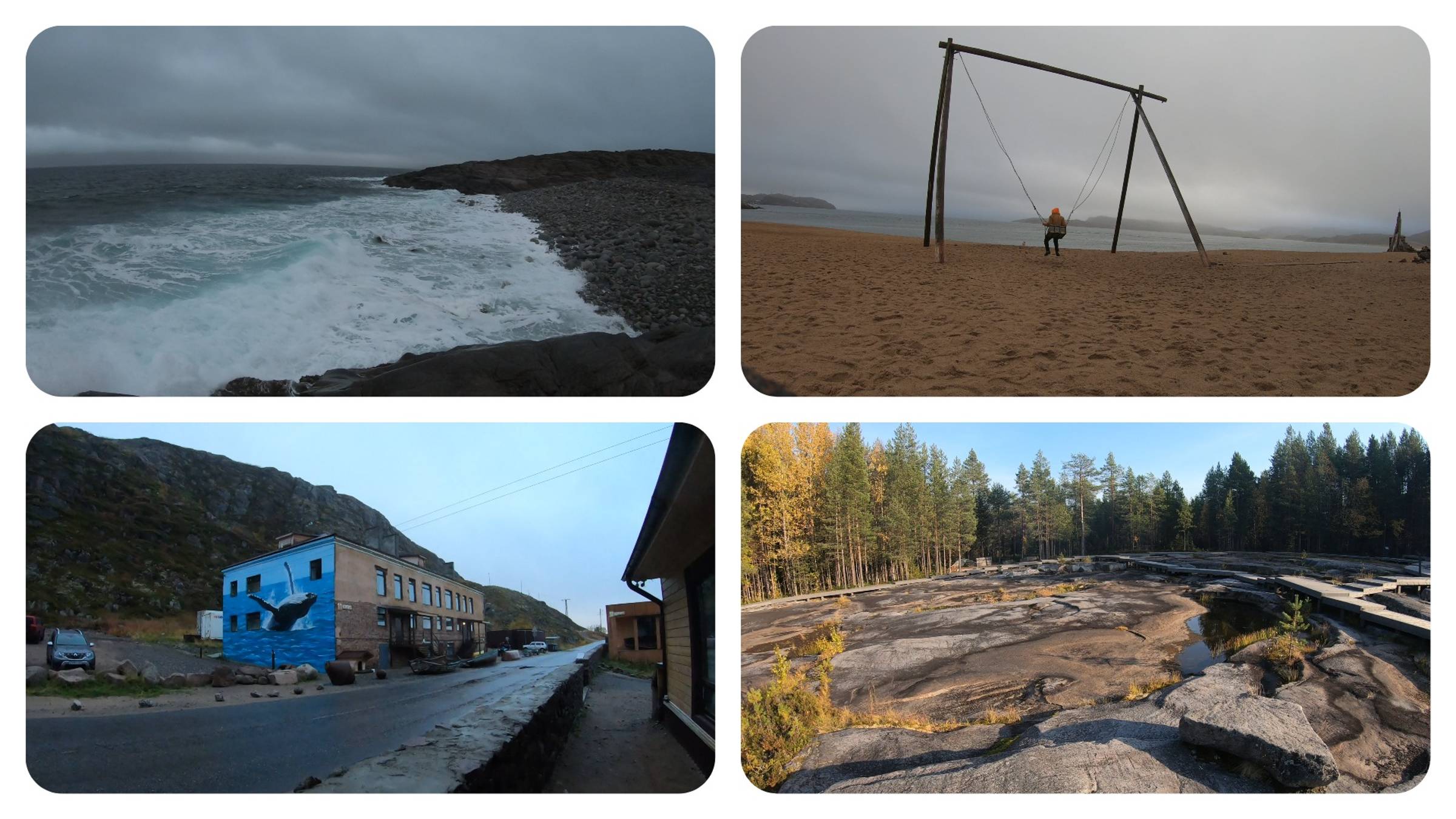 Беломорск, Мурманск, Териберка / 40 неделя 2024 года