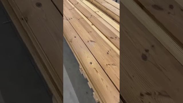 Термососна планкен. Прямой 2