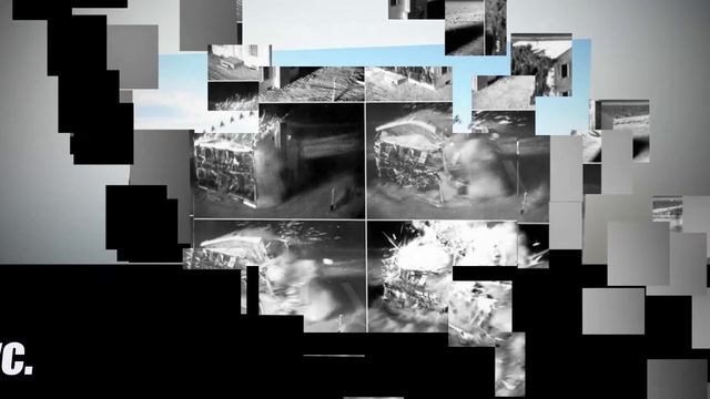 Удивительные факты мира