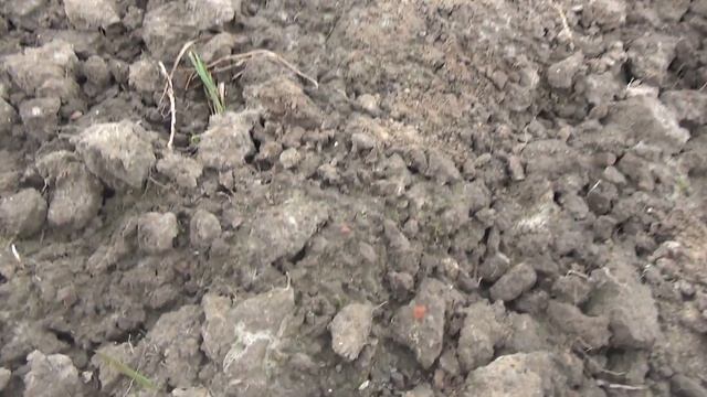 Будни кладоискателей. В поисках новых мест для копа.