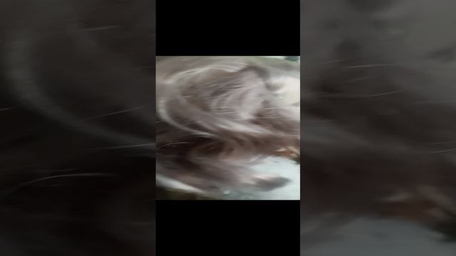 Мы играем в Пол это Лава! 4 серия. Про кукол. Для девочек