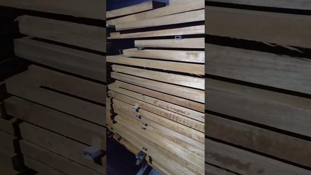 Термирование ЛИПЫ