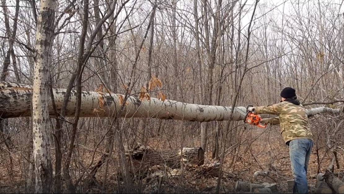 Заготовка дров.  Чистим лотки от льда. #дрова