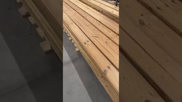 Термососна планкен. Прямой 1