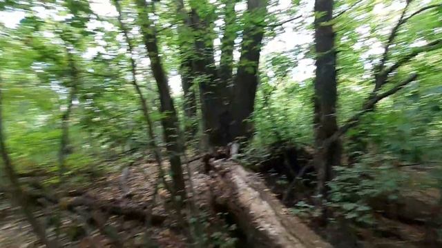 Какие сложности встречают переселенцы из Казахстана в Россию? #15