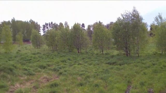 Прогулка по Вешкам