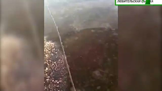 2021 12 08 Ледостав на р. Волга