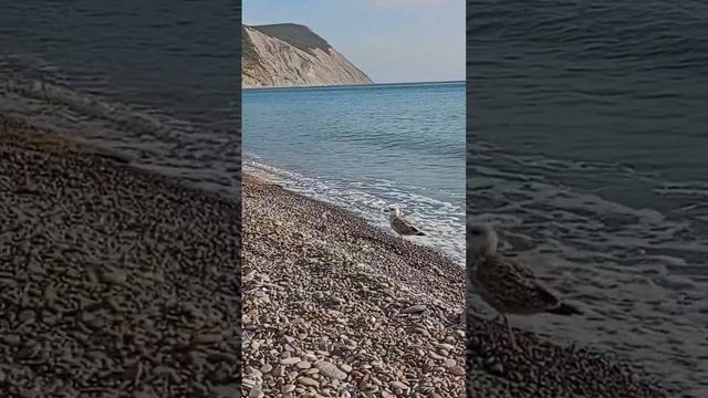 Анапа 2024/Море/Черное море