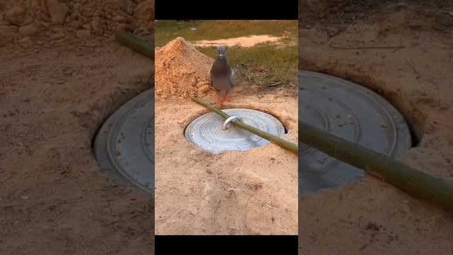 Когда меня спрашивают как я попала в кино #впотокетрехстихий #юмор #кино