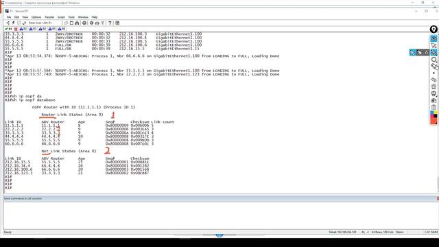 1.4 OSPF. Обзор протокола. Area, ABR, ASBR, LSA, LSDB