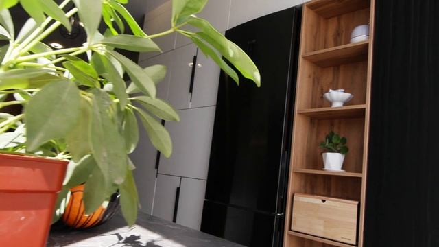 Видео о Махаон. Кухни_03.2023