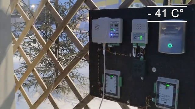 Морозоустойчивость