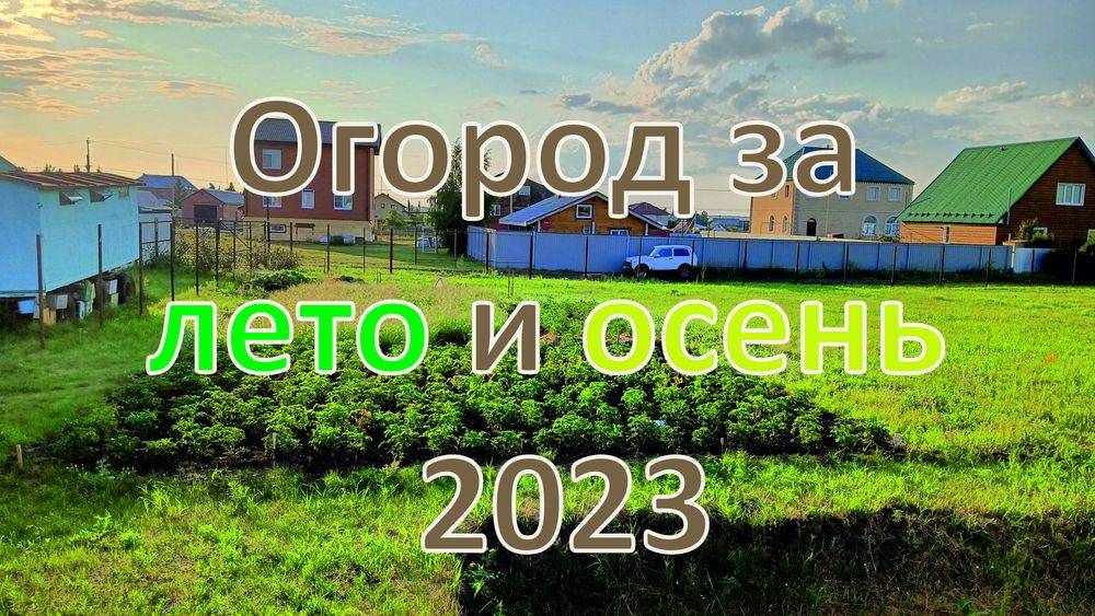 Огород за лето и осень 2023 года.