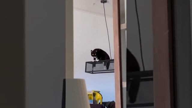 Для чего как не для этого её повесили ?