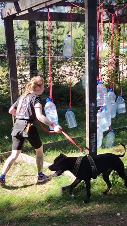 Nord Dog Race. Забег с собаками  07.09.24. Барьеры Триада и Канистры