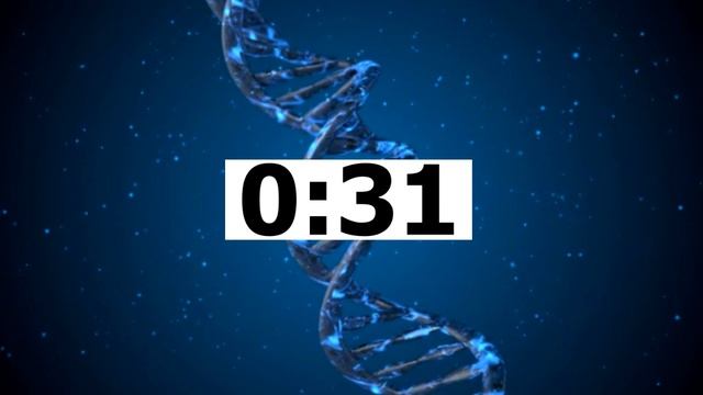 Modern gadgets (Пробник декабрь 2023)