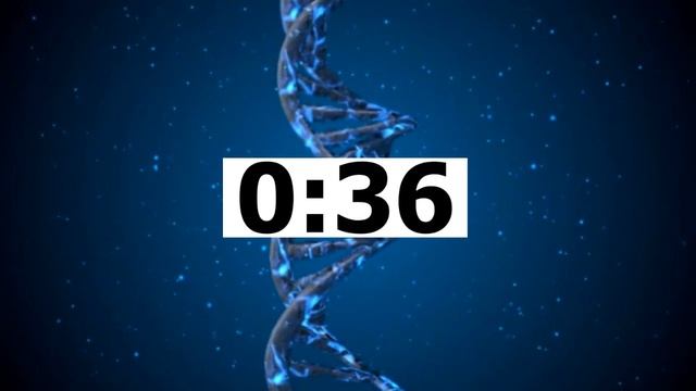 Internet safety (Вербицкая)