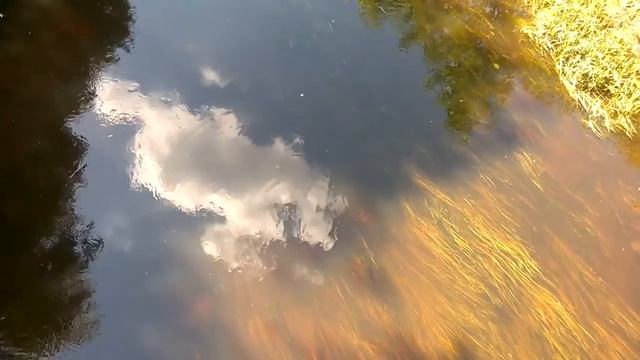 Отражения на реке. Летний день.☁️