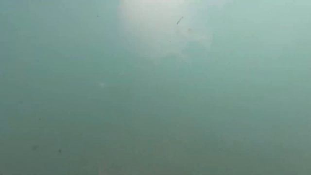 #7 В Абхазию на пикапе: Туапсе - Сочи - Новый Афон