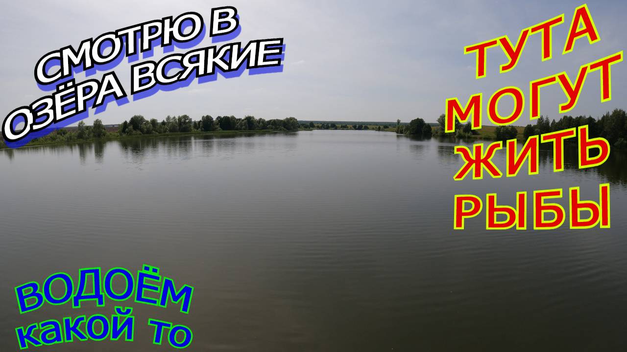 ОЗЕРО или ПРУД. Заехал посмотреть обстановку.