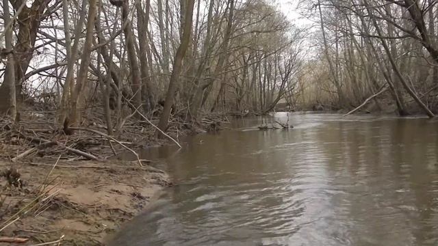 Сплав по реке Шаче в селе Борки на сап борде.
