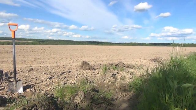 Поиск монет по распашкам и разведка подозрительных полян.