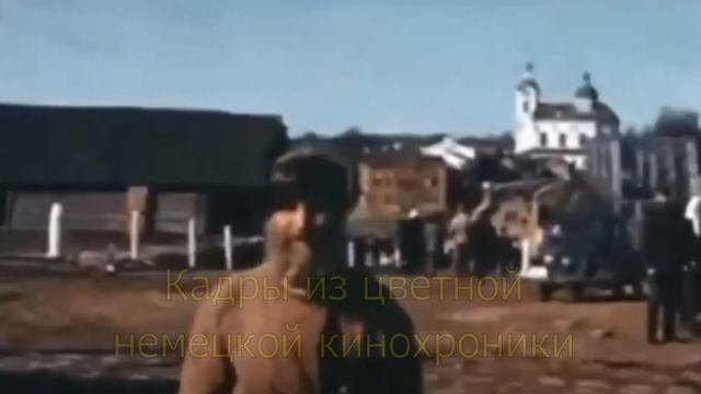 Католические церкви Велижа.