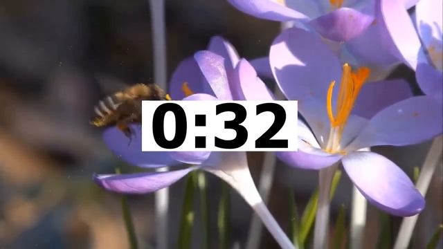 HEALTH ISSUES (Вербицкая вариант 5)