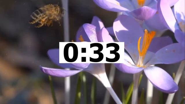 A HEALTHY LIFESTYLE 02 (Громова)